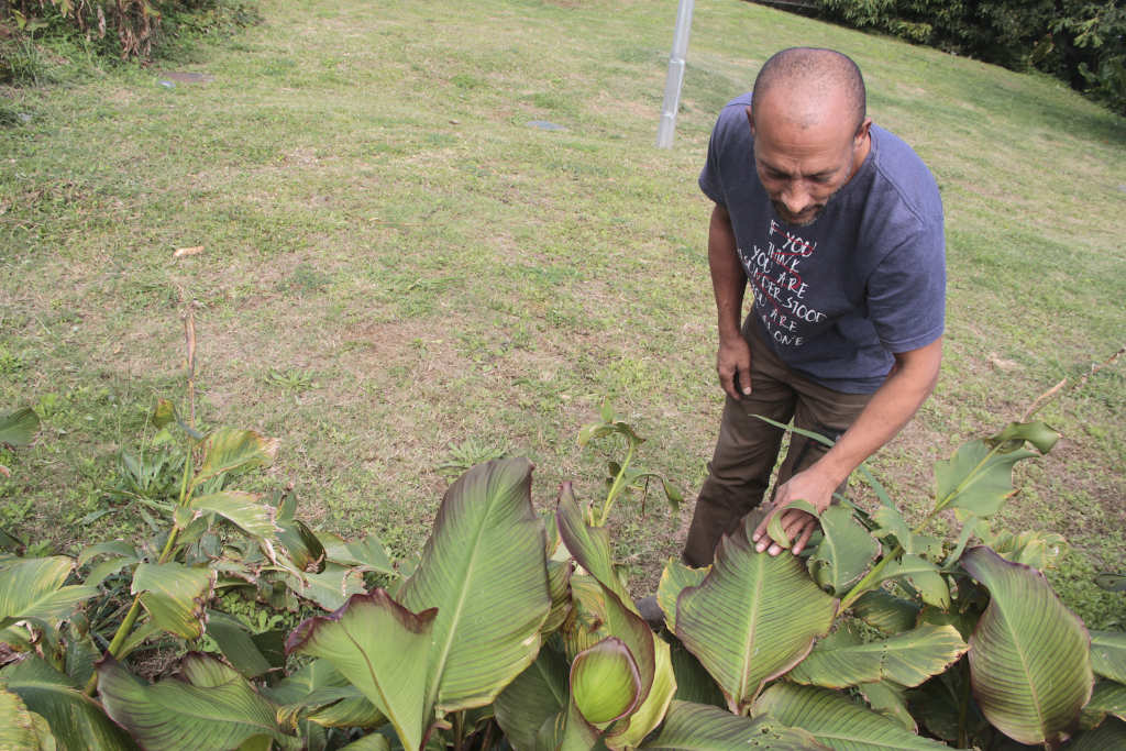 Conflore : l’agriculteur au centre de la filière