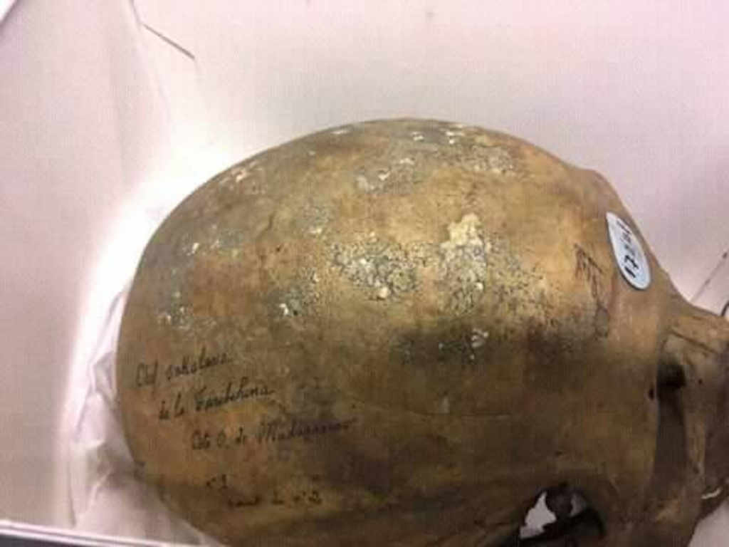 Restitution du crâne du roi sakalava Toera à Madagascar : une étape ...