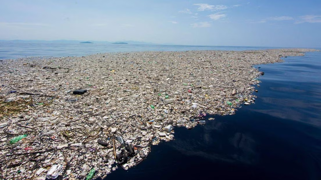 La vie s’immisce sur le "continent de plastique" du Pacifique