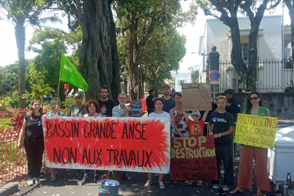 Aménagement du bassin de Grand Anse : 18 scientifiques inquiets pour la ...
