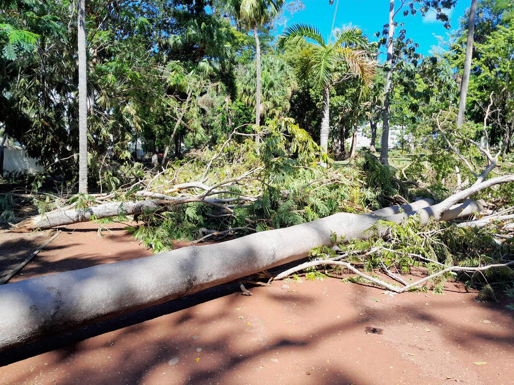 Cyclone Garance : le point sur les sites du Département